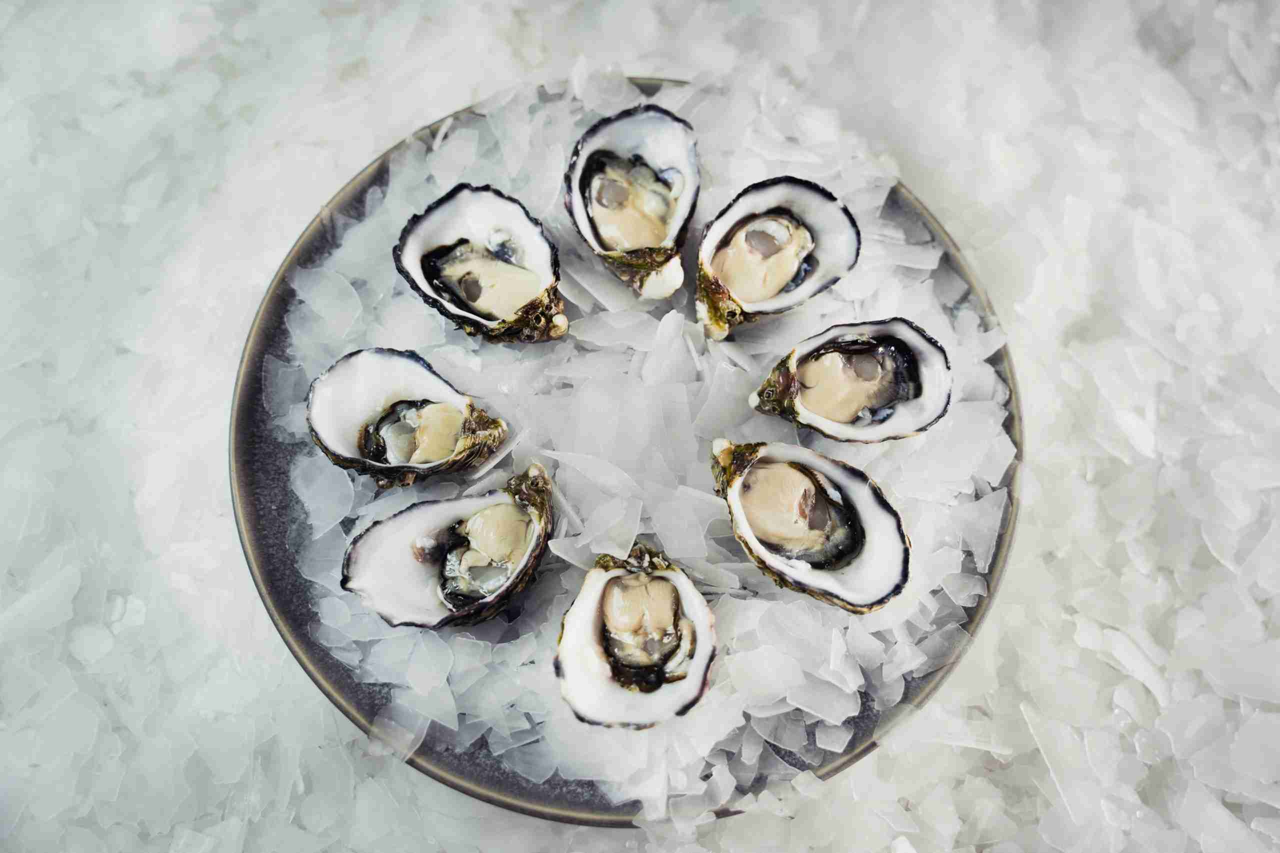 Tasmanian Pacific Oysters Standard Per Dozen